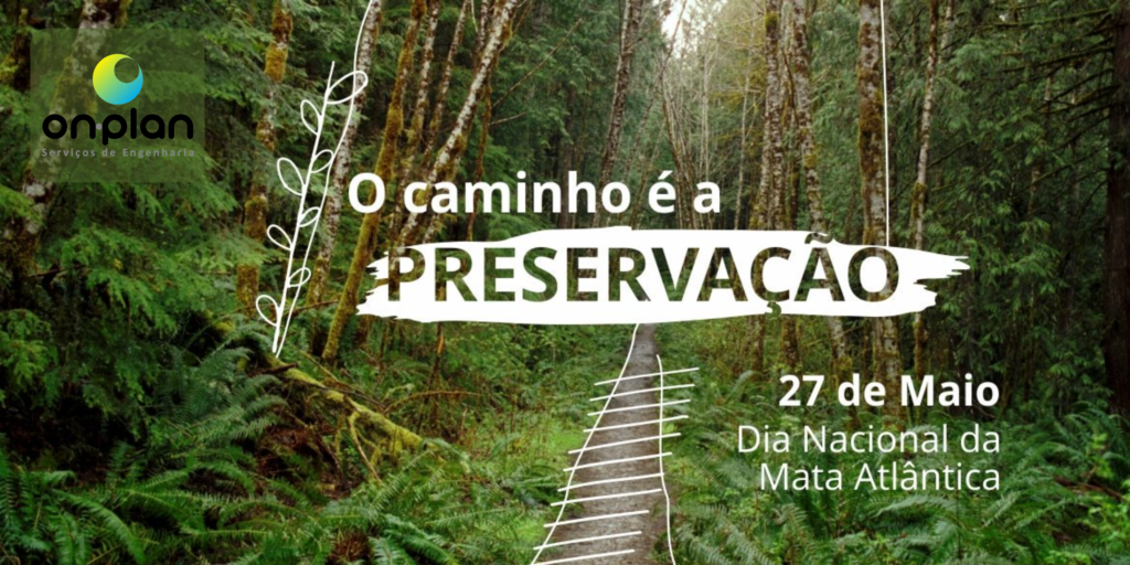 Dia Nacional da Mata Atlântica: Comemora-se Dia 27 de Maio